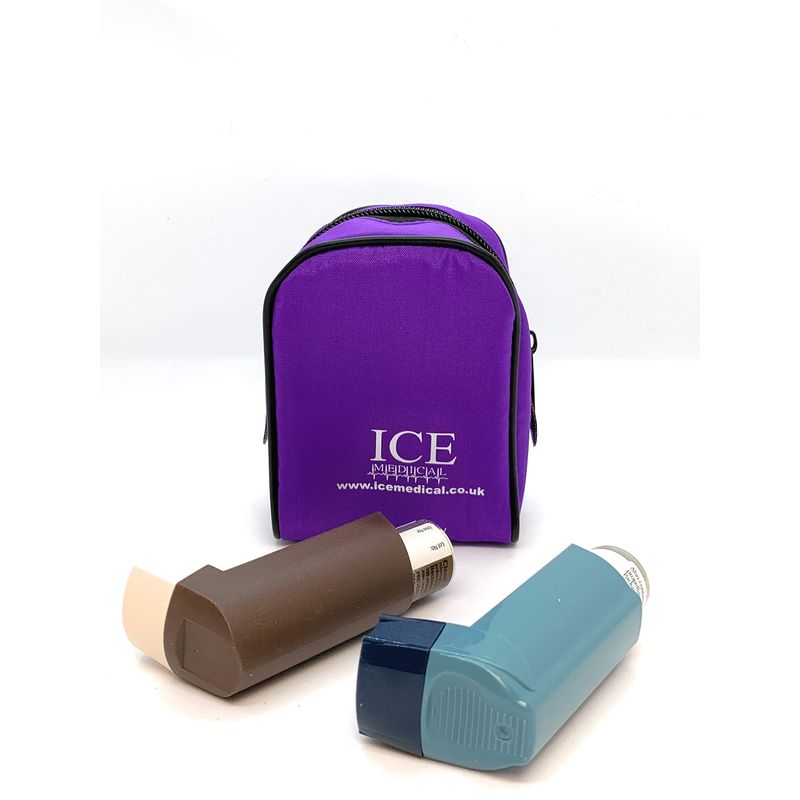 ICE Medical Inhaler Bag - Small (Purple) - Online Marketplace - EveryMarket
