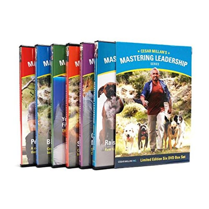 Mastering Leadership Six DVD Box Set - Online Marketplace - EveryMarket