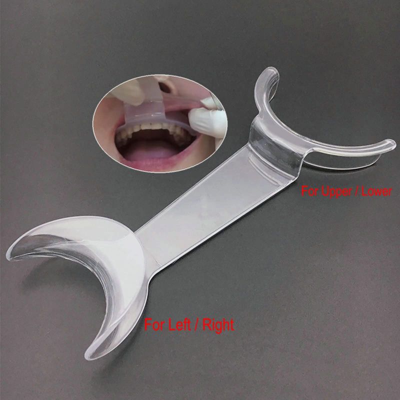 Dental Double for Head Lip Retractor Intraoral Cheek Upper Lower Lip ...