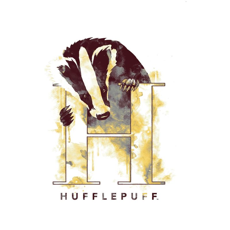 Trends International The Wizarding World: Harry Potter - Hufflepuff ...