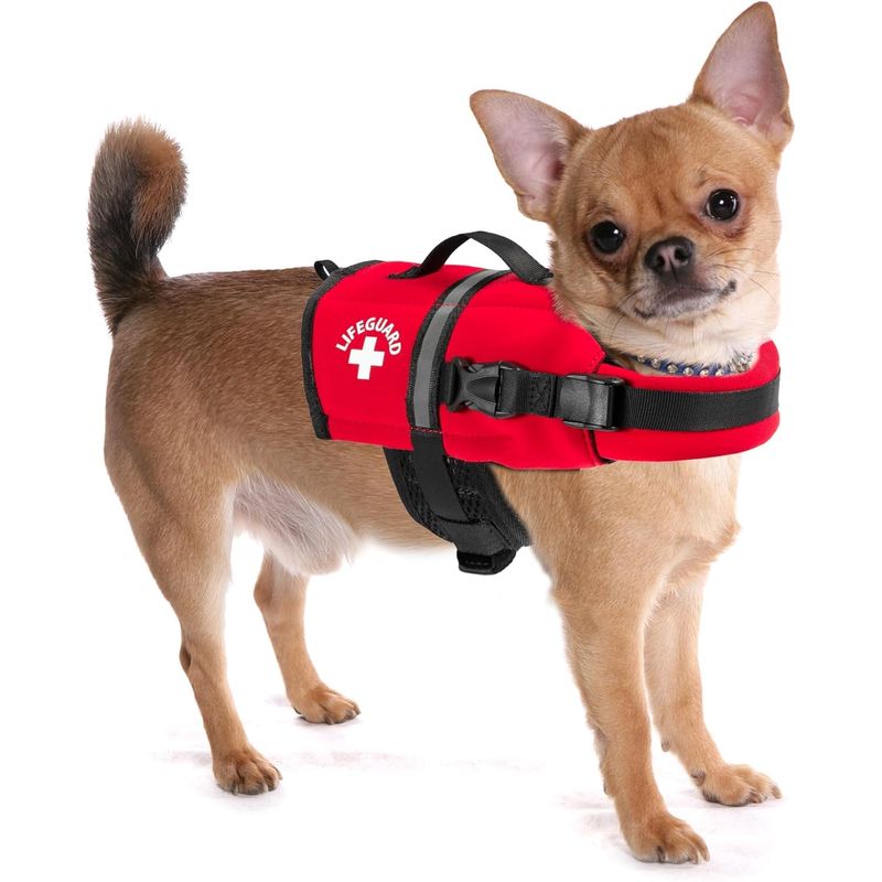 Paws Aboard Dog Life Jacket - Keep Your Canine Safe with a Neoprene ...