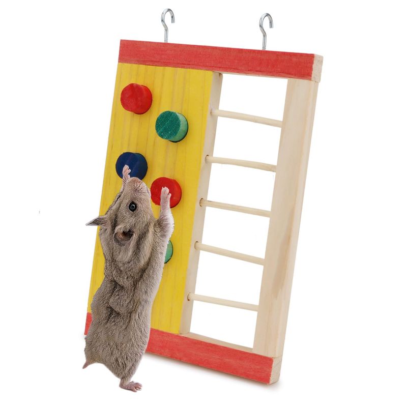 Hypeety Pet Hamster Colorful Wooden Climbing Wall and Ladder Molar for ...