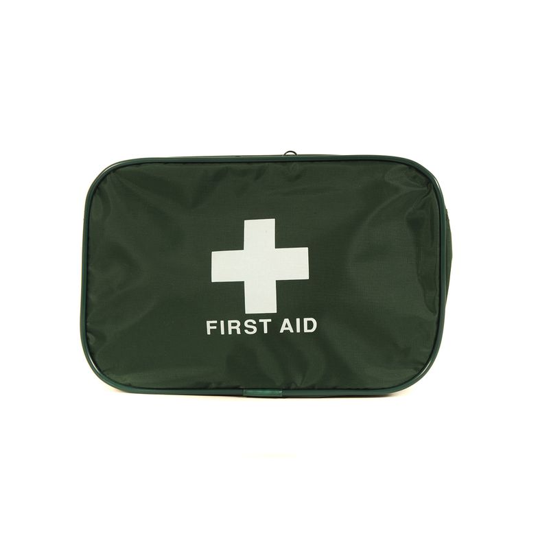 QF2500 Qualicare BSI First Aid Kit Travel Kit in Bag - Online ...