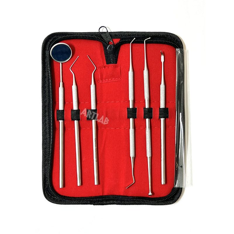 German Professional Dental Hygiene Kit-Calculus & Plaque Remover Set ...