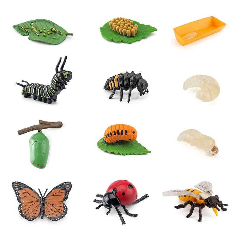 3 Sets Of 12 Pieces Insect Life Cycle Models, Ladybug Larvae, Bee Life ...