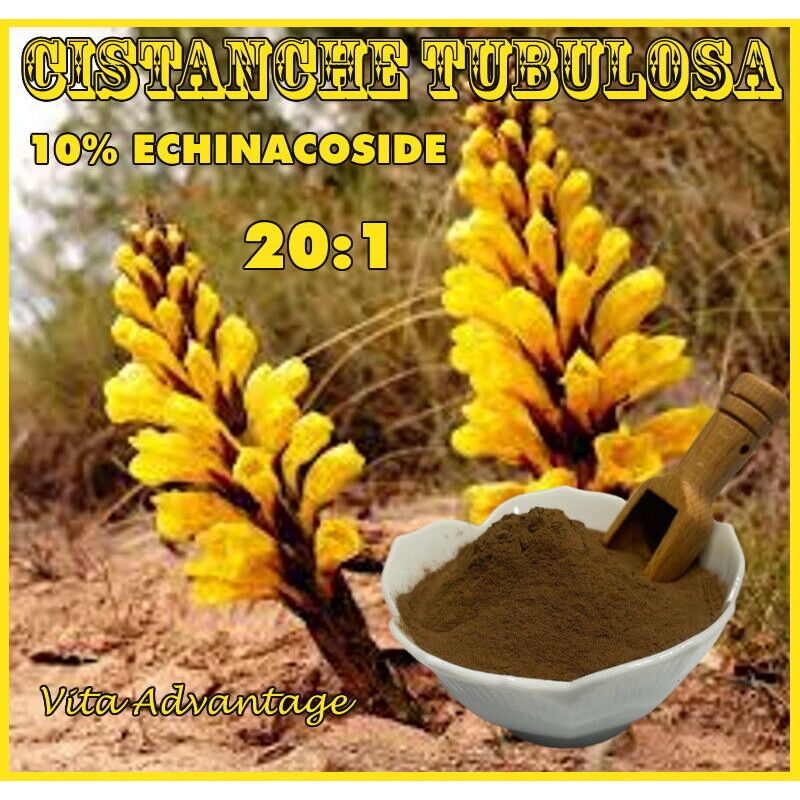 ORGANIC CISTANCHE TUBULOSA EXTRACT POWDER 20:1 10% ECHINACOSIDE 1LB ...