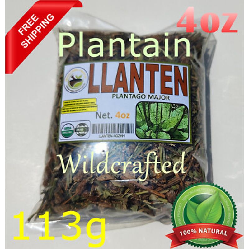 Llanten 4oz Plantago Mayor Plantein Hierba Te/ Natural Herbal Infusion ...