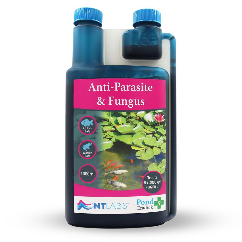 NT Labs Pond Eradick, Pond Fish Medicine, Anti-Parasite & Fungus ...