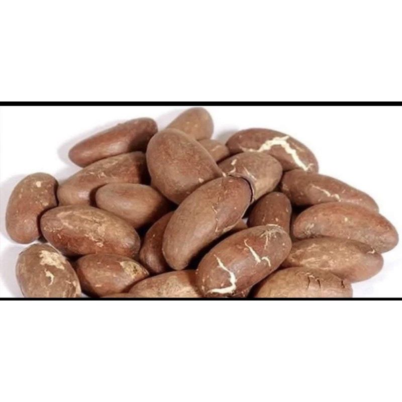 Bitter Kola Nut Garcinia Kola Cola 1 Lb - EveryMarket