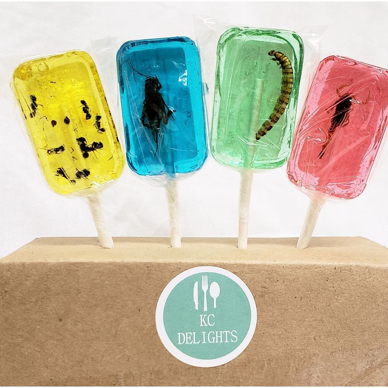 Insect Sucker Lollipop Bundle - Pack of 4 - Scorpion, Ants, Cricket ...