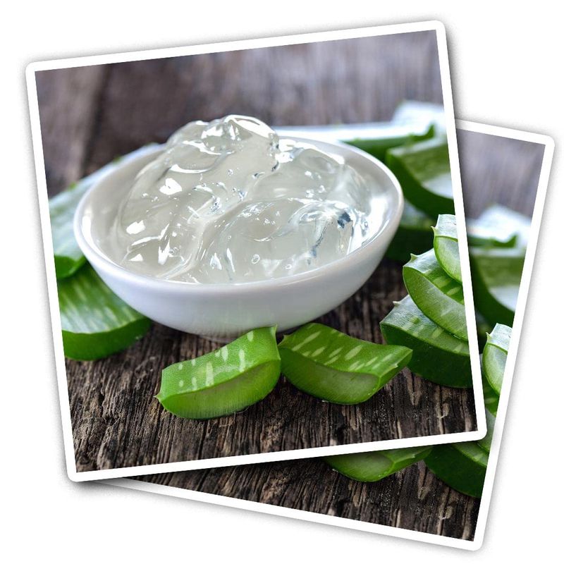 Vinyl Square Stickers (Set of 2) 7.5cm - Aloe Vera Gel Plant Nature for ...