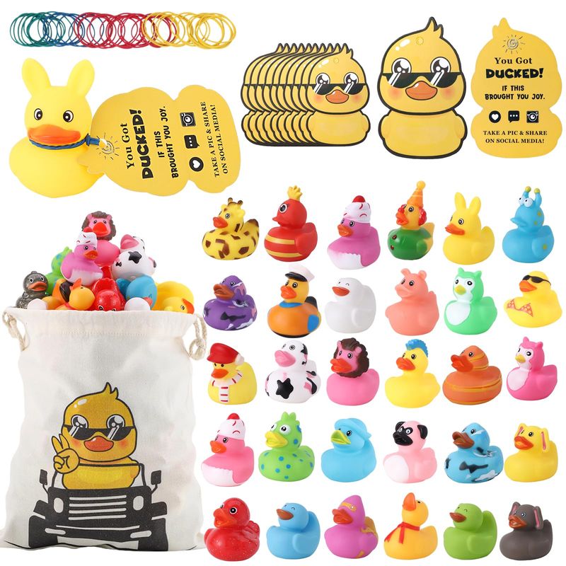 Rubber Ducks Kits 30 Pcs Assorted Rubber Duckies with 30 Pcs Duck Tags ...