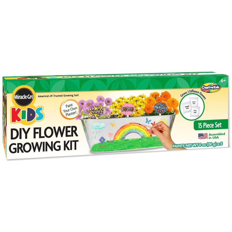 Miracle GRO Paint and Plant My First Flower Growing Kit - Online ...