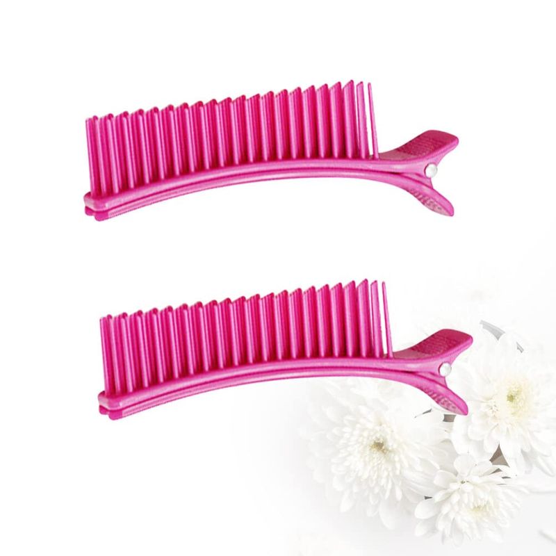 Salon Hair Clips 2pcs Professional Hair Clips for Styling Sectioning ...