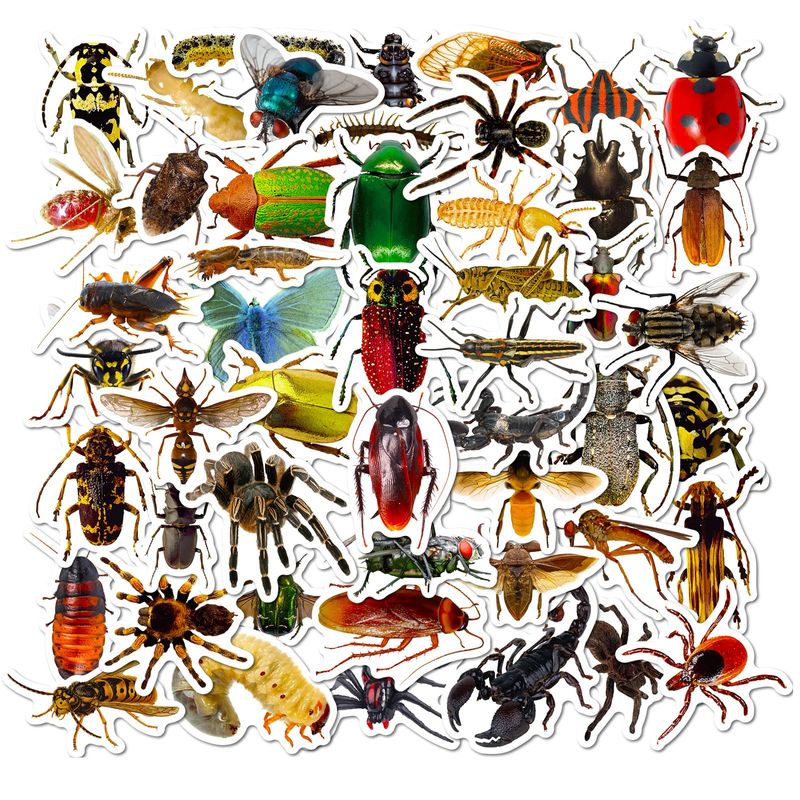 Pack of 50 Insect Stickers Pack Insect Sticker Set Waterproof Vinyl ...