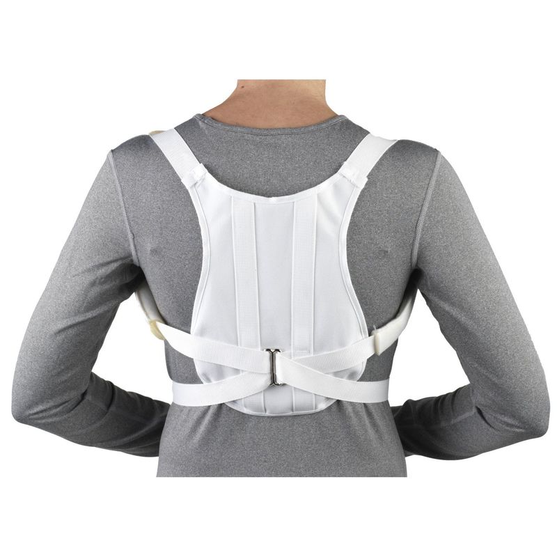 CHAMPION Shoulder Brace Posture Support, White, Medium - Online ...