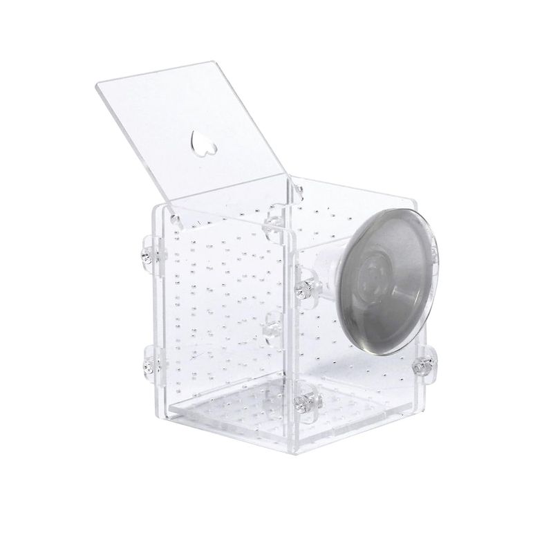 Bellarino Fry Isolation Case, Aquarium, Breeding Isolation Case ...