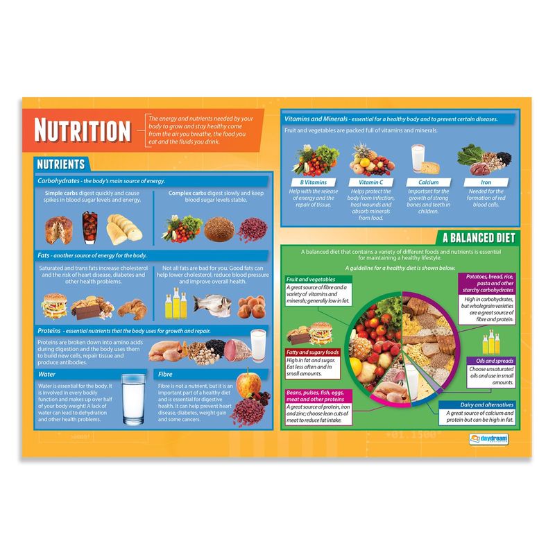 Daydream Education Nutrition PE Classroom Poster - EXTRA LARGE - A1 ...
