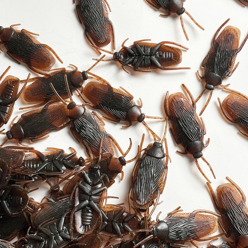 HOMUS 200PCS Prank Fake Roaches - Realistic Faux Cockroaches for ...