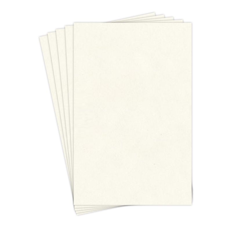 New White - Parchment Paper, 65lb Cover Stock 11 X 17 Inches, 50 Sheets ...