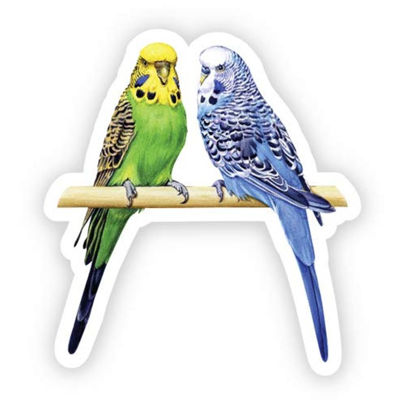 Parakeets - 8" Vinyl Sticker - for Car Laptop I-Pad - Waterproof Decal ...
