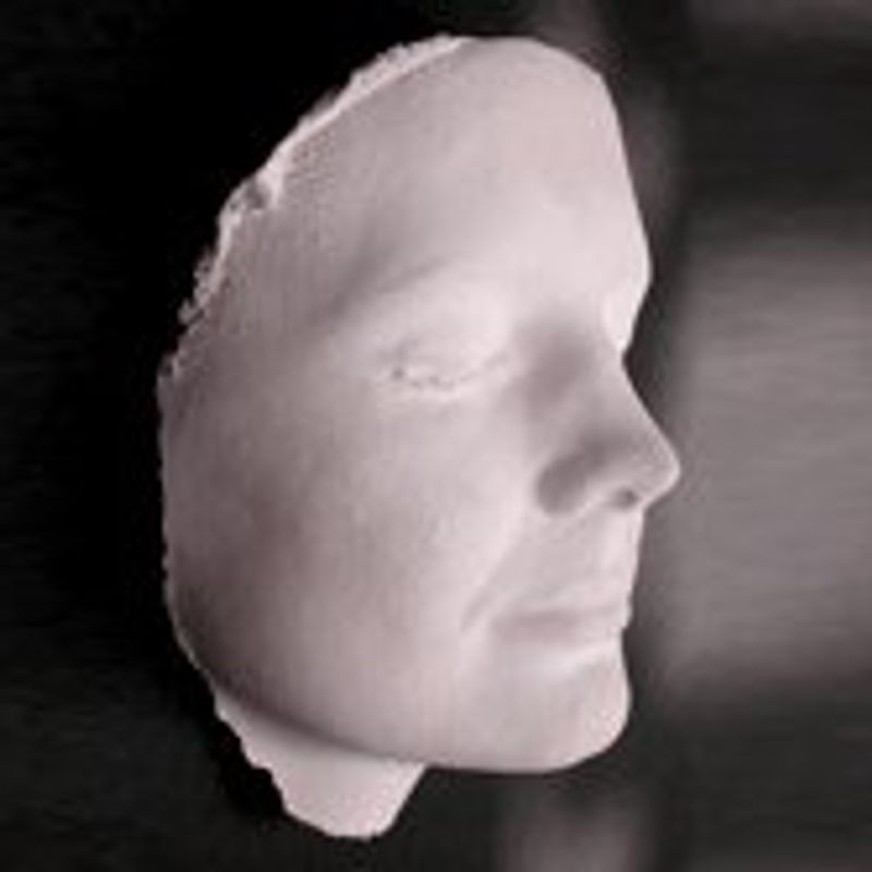 Face Casting Cast Mask Making Kit - a Moulding Alginate & Plaster ...