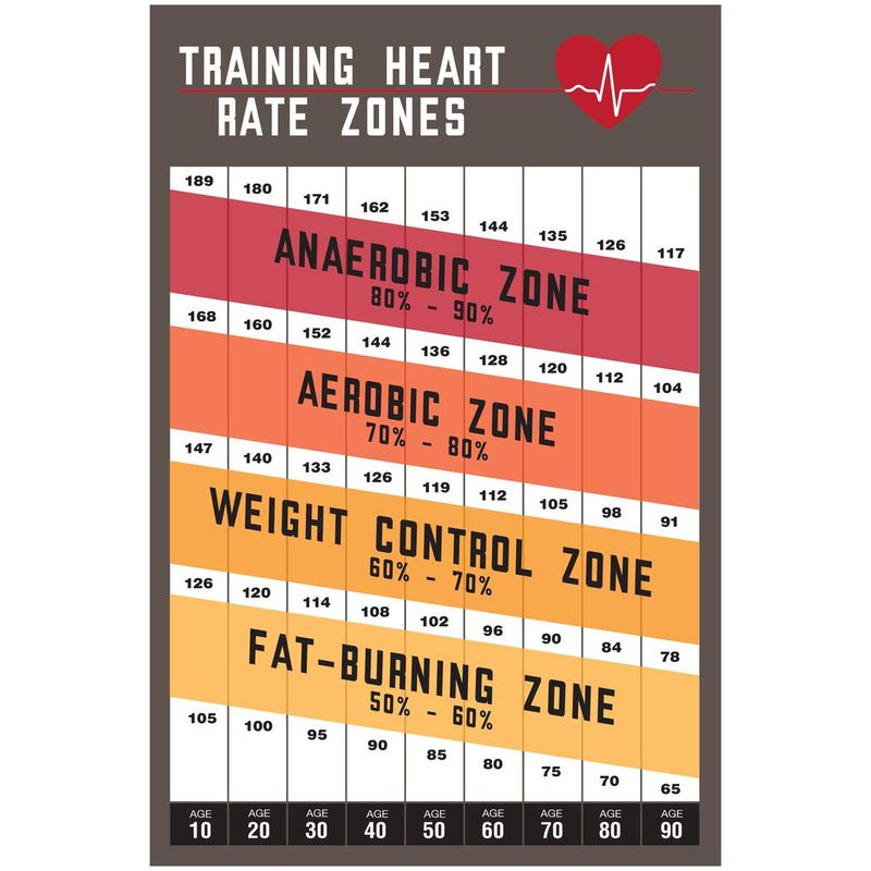 Fitness Heart Rate Chart Variability Training Zones Exercise Poster ...