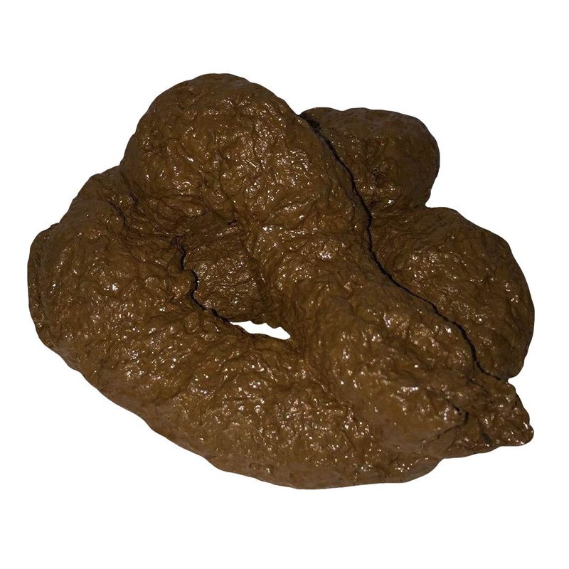Nicky Bigs Novelties Deluxe Fake Dog Poop Crap Pile - Realistic Fake ...