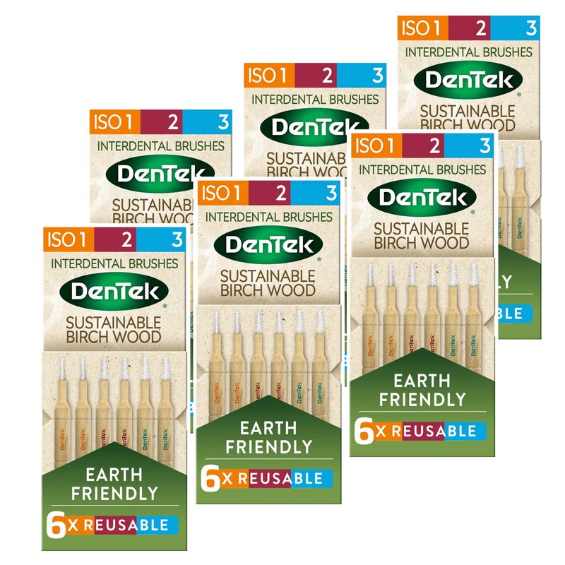 DenTek Earth Friendly Birch Wood - 6 Count x 6 Packs (36 Brushes ...