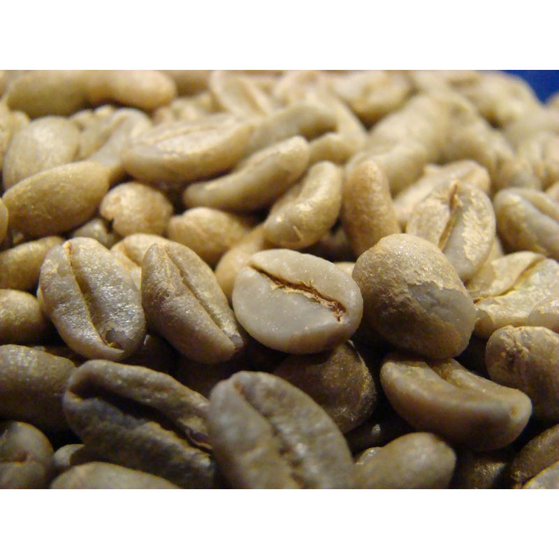 Ethiopia Gesha Village, Geisha Seeds, Natural Raw Beans 31.7 oz (900 g ...