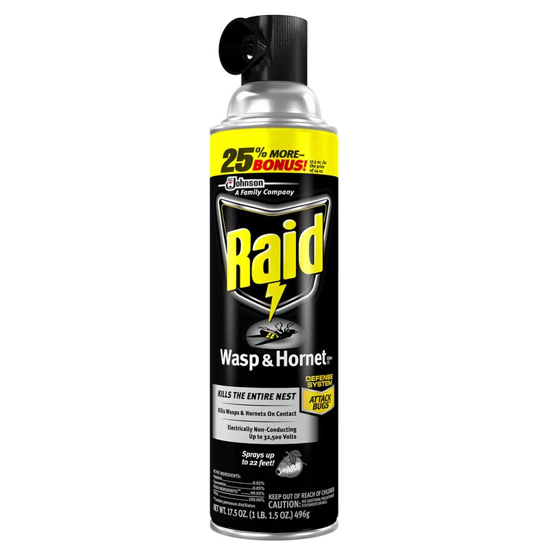 Raid Wasp and Hornet Killer, 17.5 OZ (Pack - 1) - EveryMarket