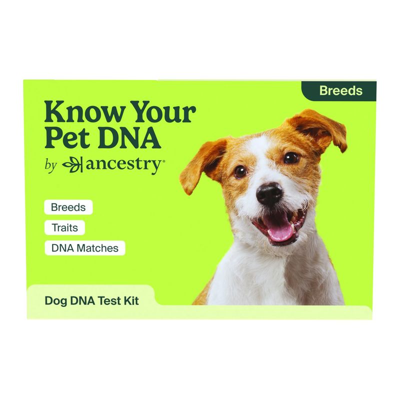 Know Your Pet DNA by Ancestry: Dog DNA Breed Identification Test ...