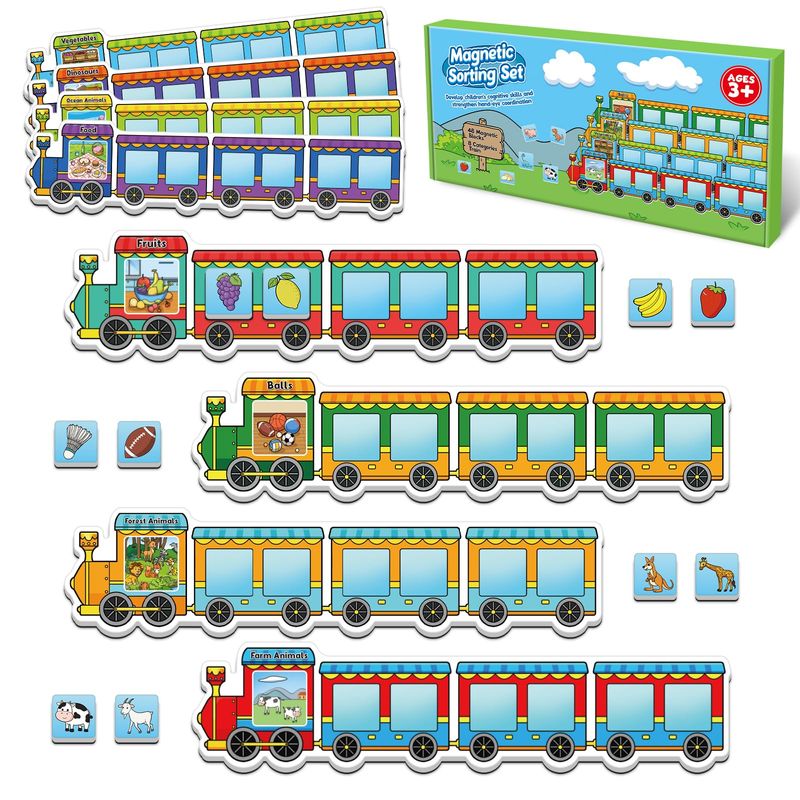 Quilinz Magnetic Color Sorting Set,Fridge Magnets for Kids,Educational ...