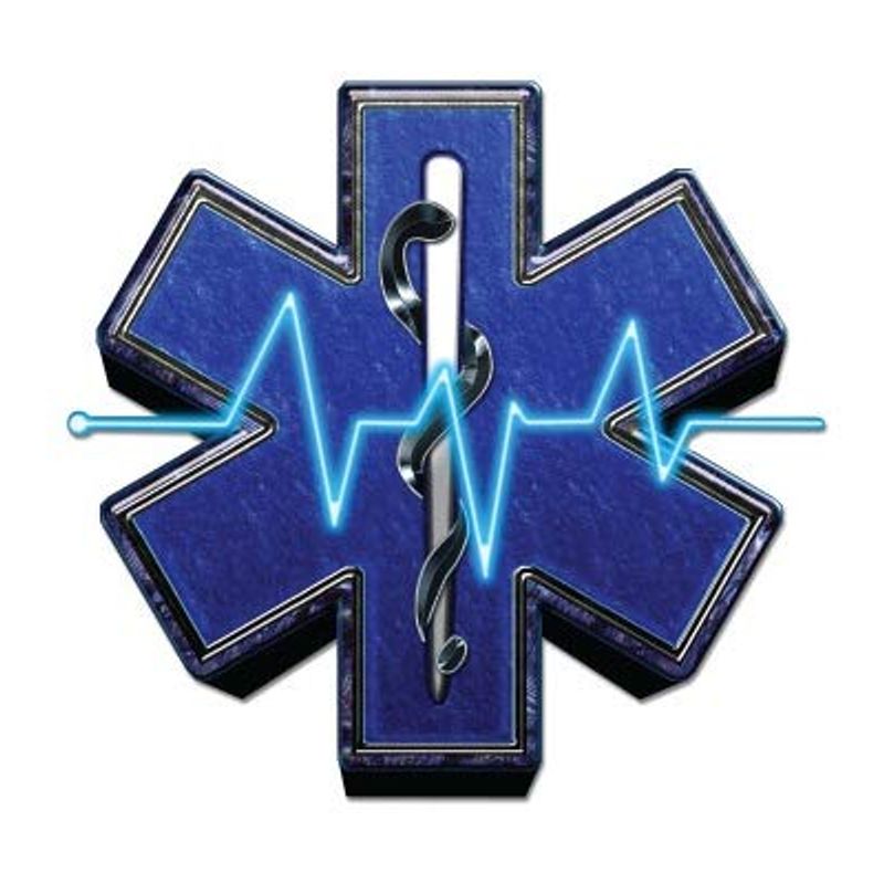 GT Graphics Express EMS - 12" Vinyl Sticker Waterproof Decal - Online ...