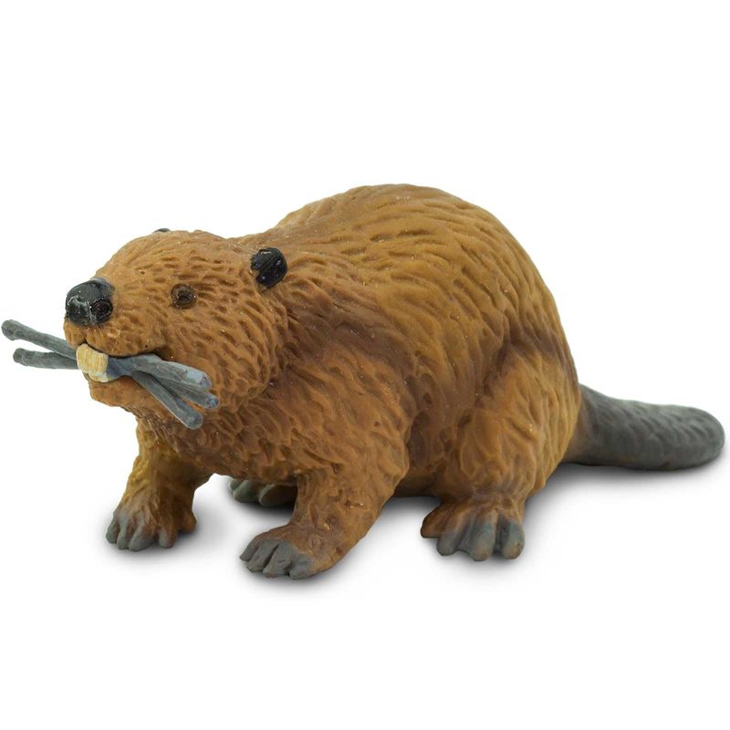 Safari Ltd. Beaver Figurine - Detailed 4" Plastic Model Figure - Fun ...