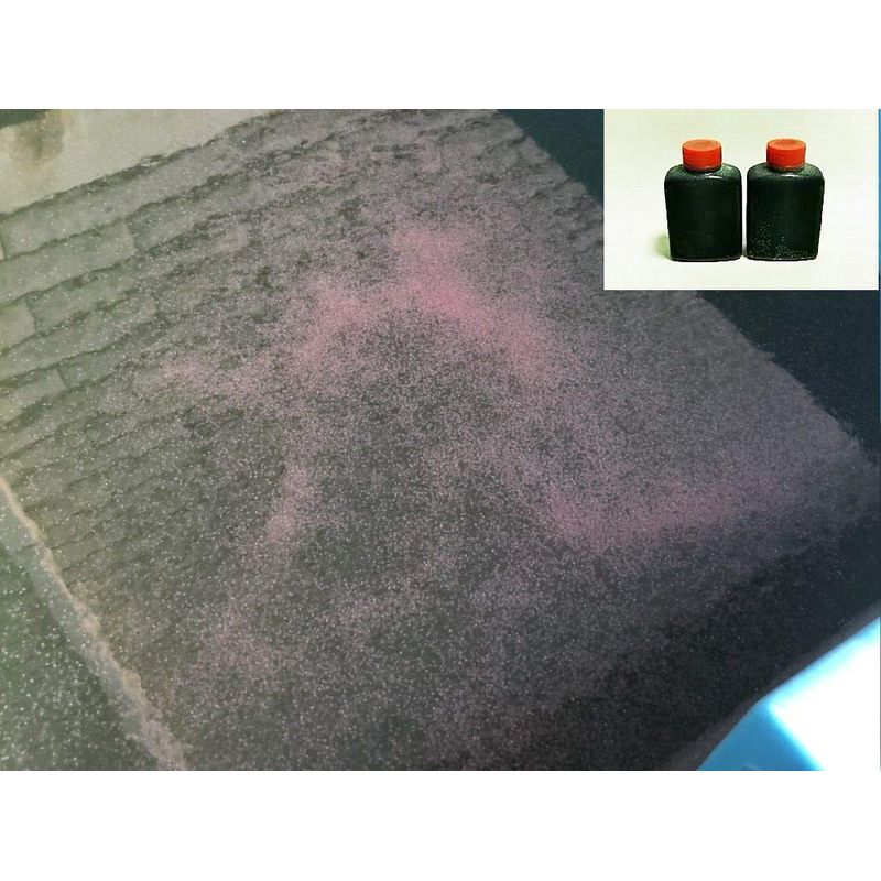 Medaka Kaido (Exceptional Price, Lowest) Daphnia 0.01 oz (0.3 g) (Over ...