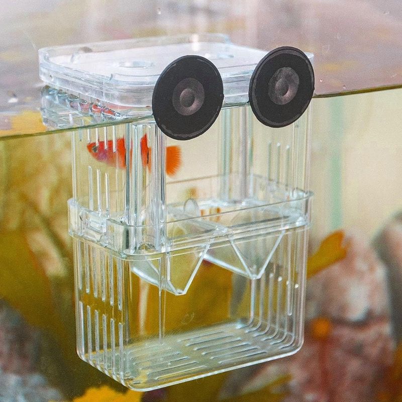 AUTUUCKEE Fish Breeding Box, Plastic Aquarium Fish Tank, Floating Fish ...