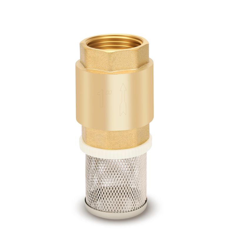 Foot Valve with Filter 1" NPT, Brass Bottom Valve, Non Return Spring ...