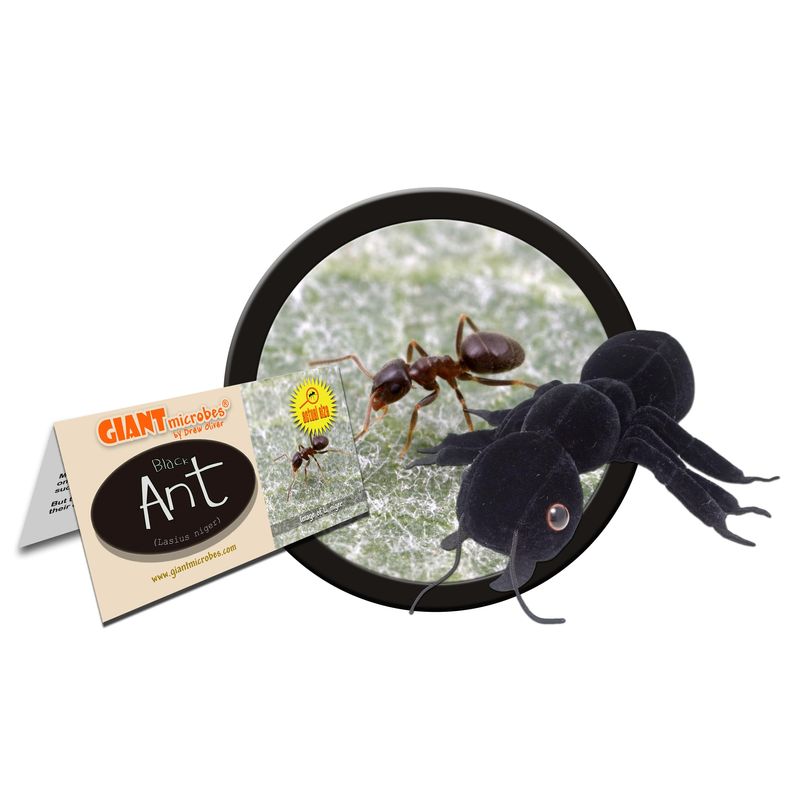 GIANTmicrobes Black Ant Plush – Learn About Insects, Entomology, Nature ...