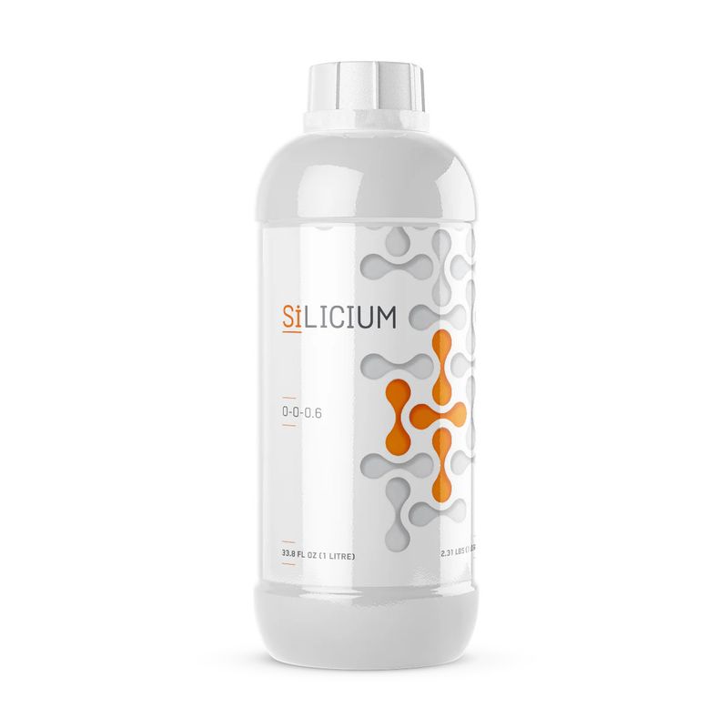 SiLicium Mono Silicic Acid Enhances Nutrient Absorption 1 Liter by ...