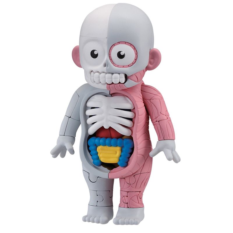After School Horror Series Model Restoration Human Body - Online ...