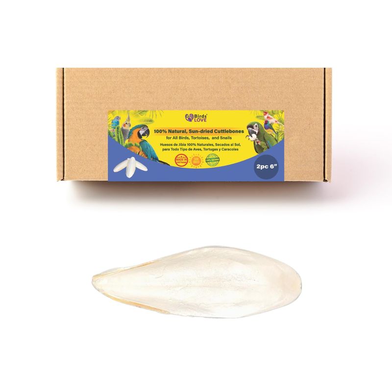 Birds LOVE Natural Cuttlebone – Premium Calcium & Trace Mineral ...