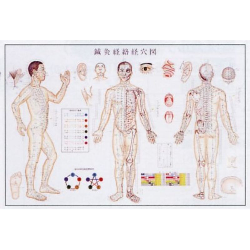 Acupuncture Meridian Acupuncture Point Chart Poster - Online ...