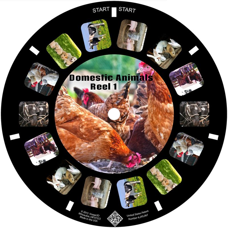 MayKo Farm Animal Reels for Viewfinder, Domestic Animals Compatible ...