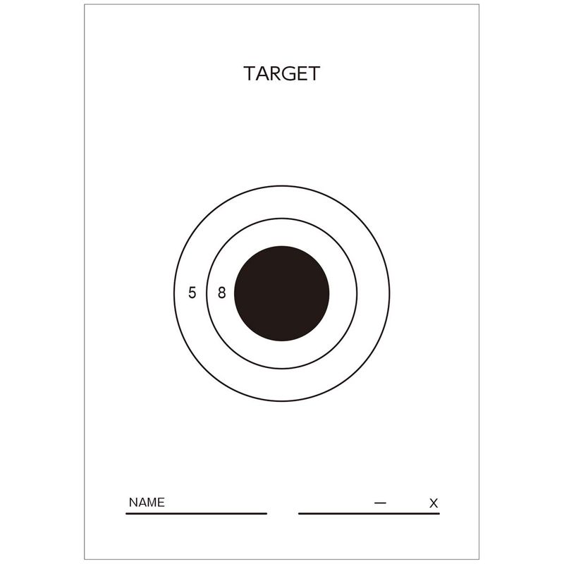 Set of 3 Duplicate Bullseye Targets (APS Targets Official Size: White ...
