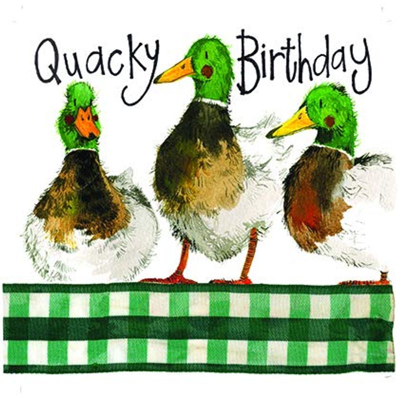Alex Clark Quacky Birthday Card - Ducks - Mallard - Nature - Animal ...