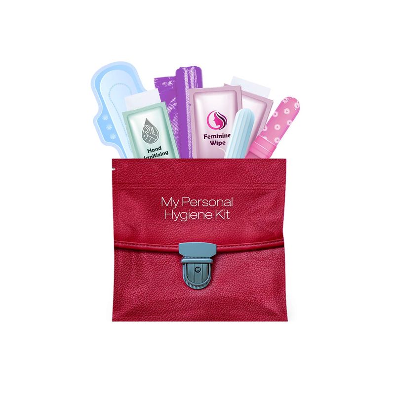 Menstrual Kit All-in-One | Convenience on The Go | Single Period Kit ...