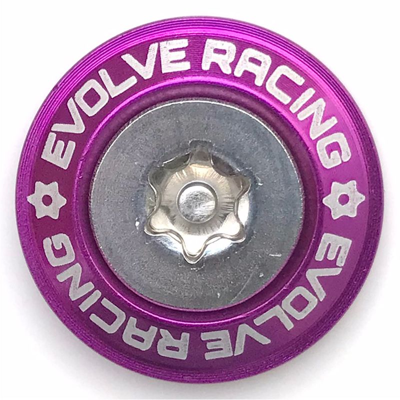 EVOLVERACING Anti-theft Bolt Set for License Plate Specific Vehicle ...