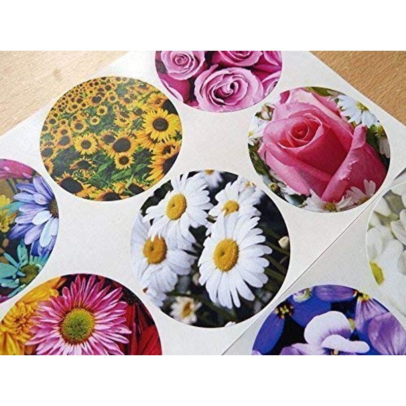 Large Flower Circular Stickers, Colourful Floral Designs on Clear Self ...