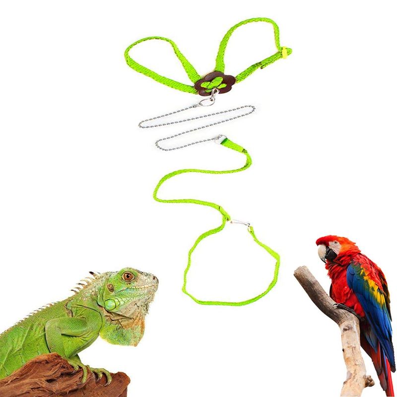 Lizard Leash Bearded Dragon Harness Adjustable Reptile Lizard Harness ...